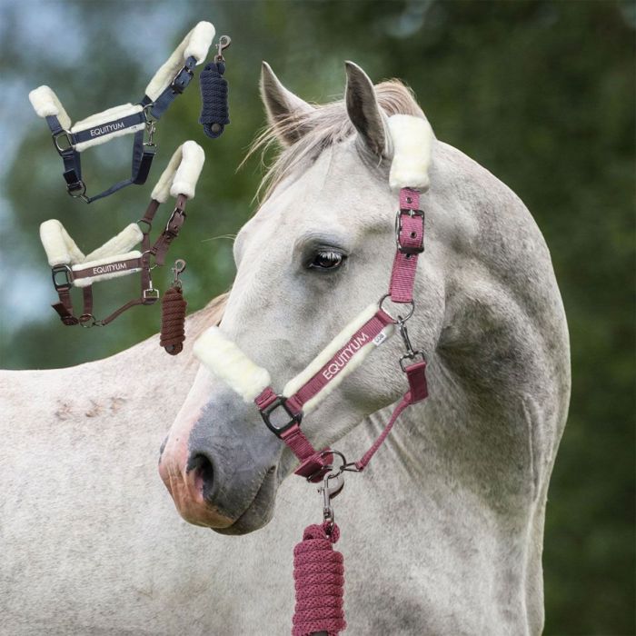 Set Cavezza + Longhina Equityum Zoe | Tosoni Selleria