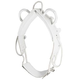 Vaulting Surcingle | Tosoni Selleria