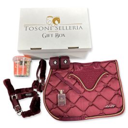 Set Regalo Horses Christmas Idea | Tosoni Selleria