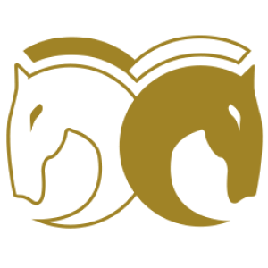 Online saddlery shop - equestrian clothing and products | Tosoni Selleria